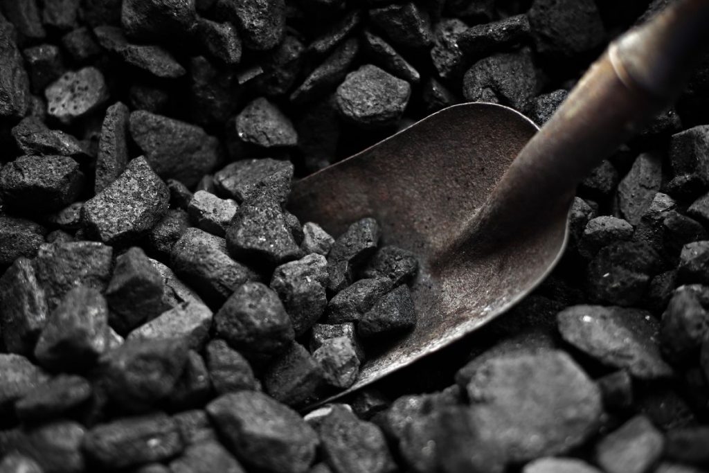 Why Do Dogs Eat Coal? - Easy Spaniel Training