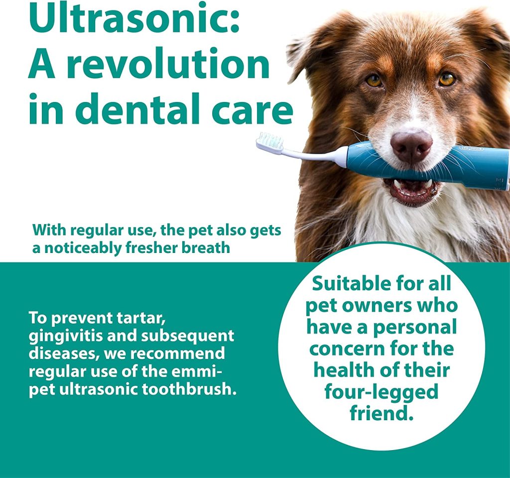 Why You Should Consider The Emmi®-pet 2.0 Basic Dental Care Set For ...