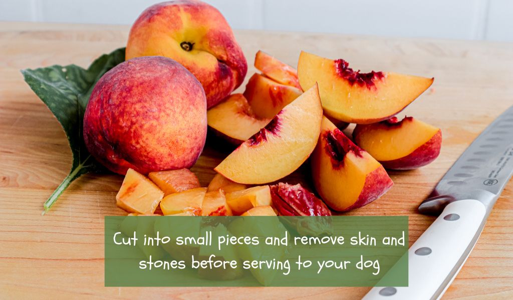 Are Peaches Bad For Dogs