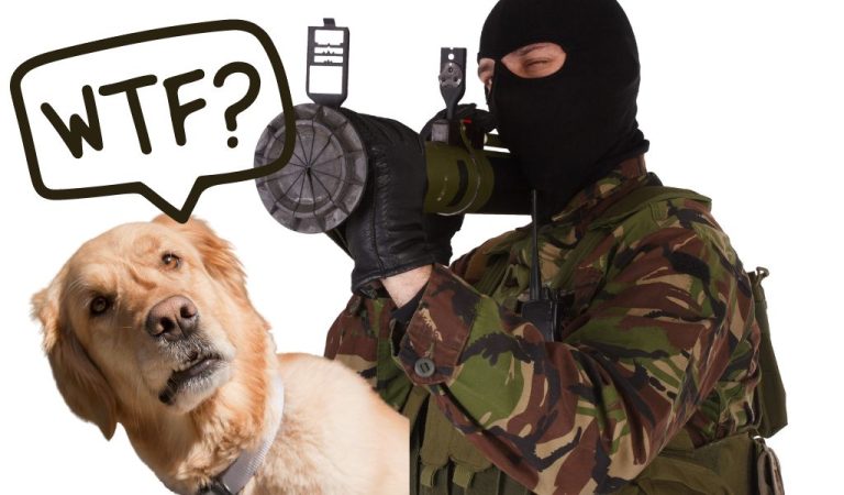 What Is The Best Gun Dog Dummy Launcher? A Comprehensive Guide - Easy ...